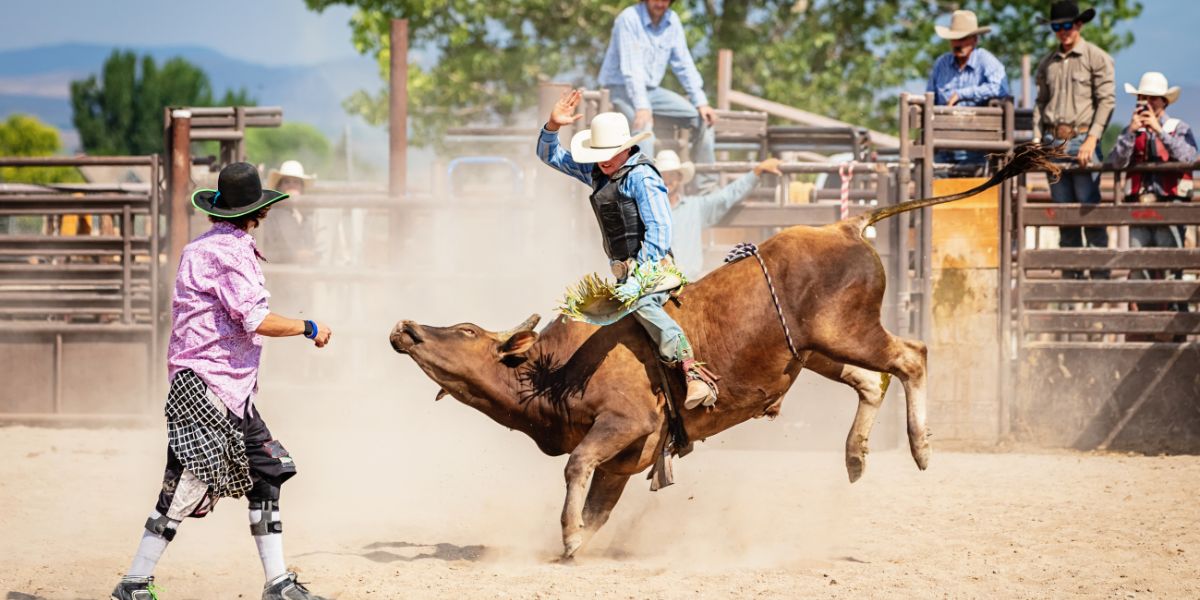 Best Bull Riding in Dallas